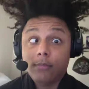 2025 Memes Bracket - Leewufufu